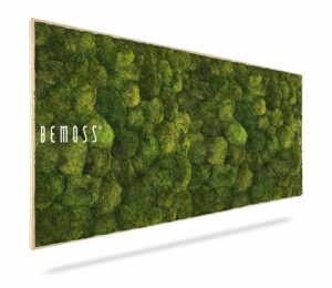 Tableau de mousse SIBERIAN | BEMOSS