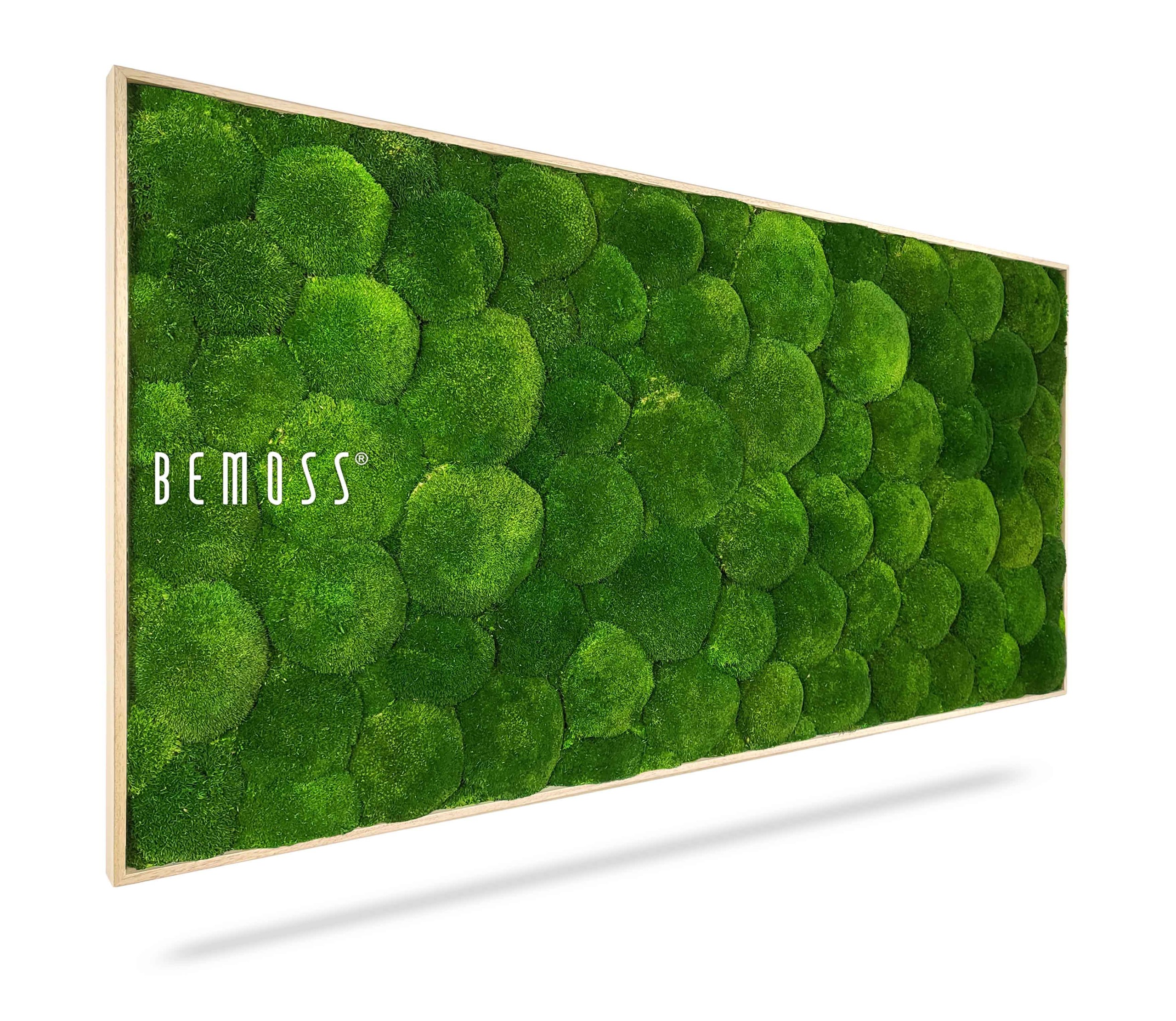 Tableau de mousse BOLMOSS Natural Green - BEMOSS