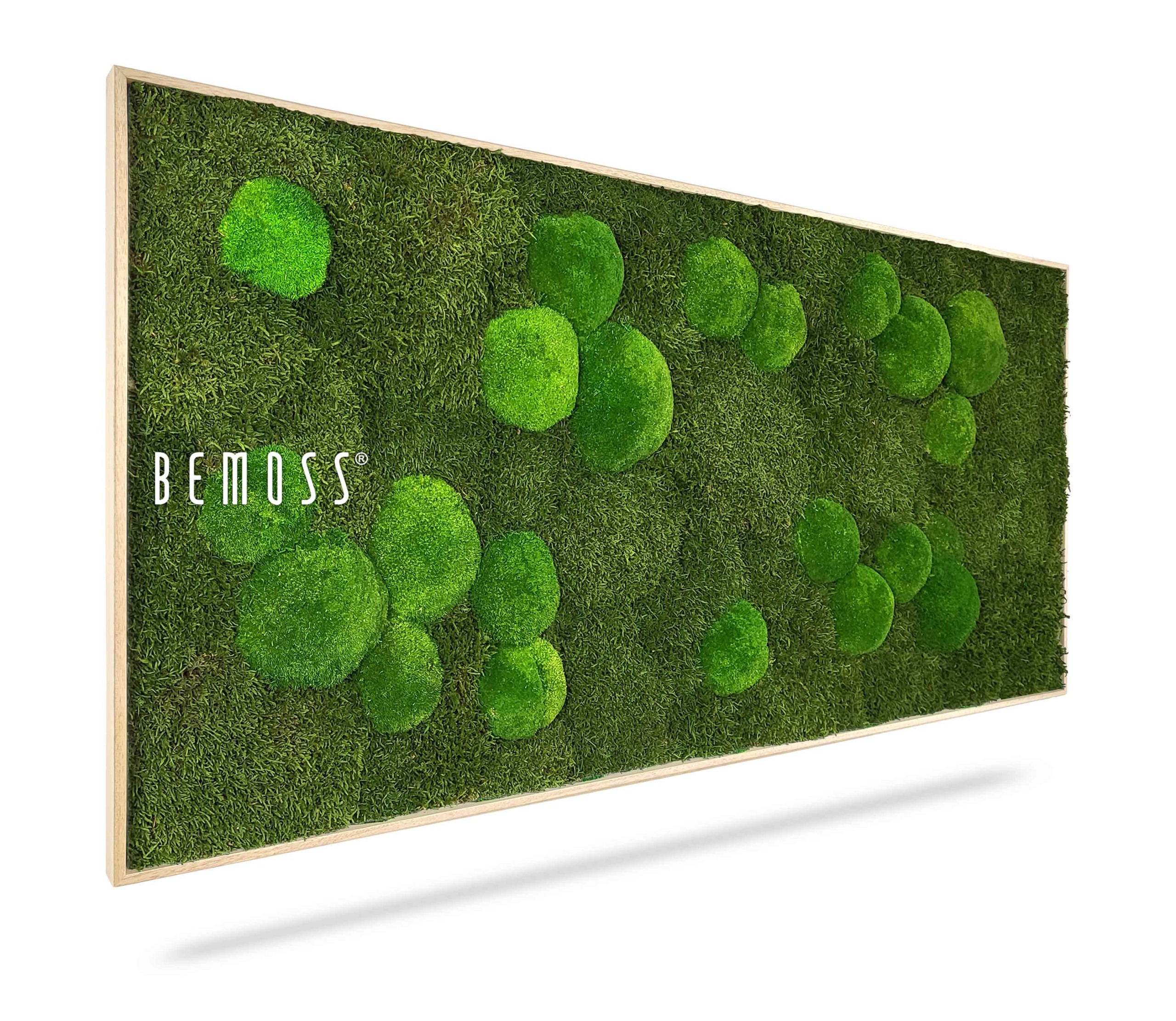 Tableau de mousse FLATMOSS & BOLMOSS Light Green - BEMOSS