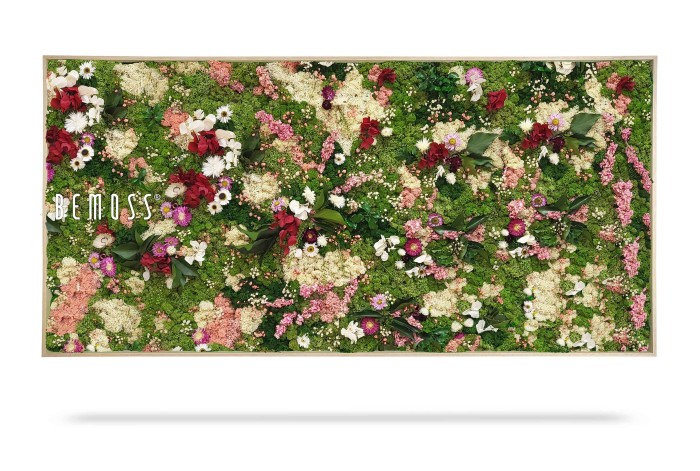 Tableau de mousse PLANTES Huelma | BEMOSS