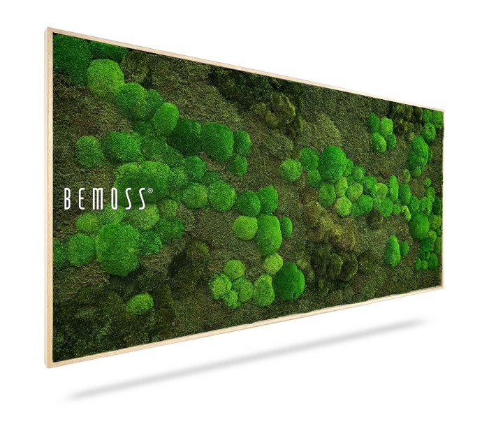 Tableau de mousse BOLMOSS Minerva - BEMOSS