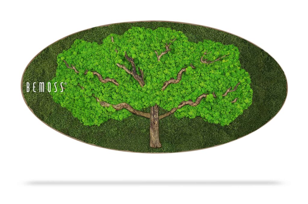 Tableau de mousse Ellipse BEMOSS® ARBRE | BEMOSS