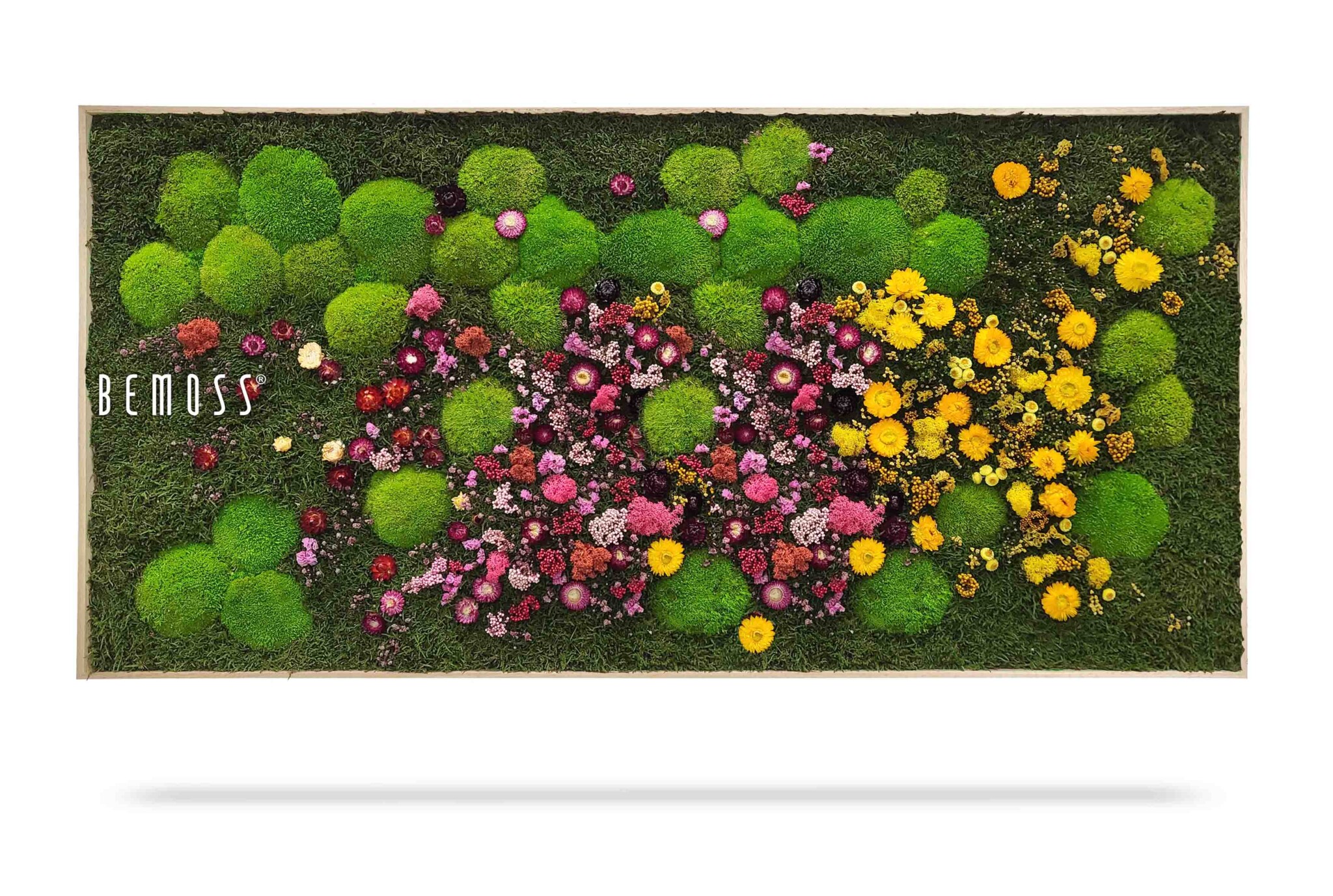 Tableau de mousse PLANTES Parra | BEMOSS