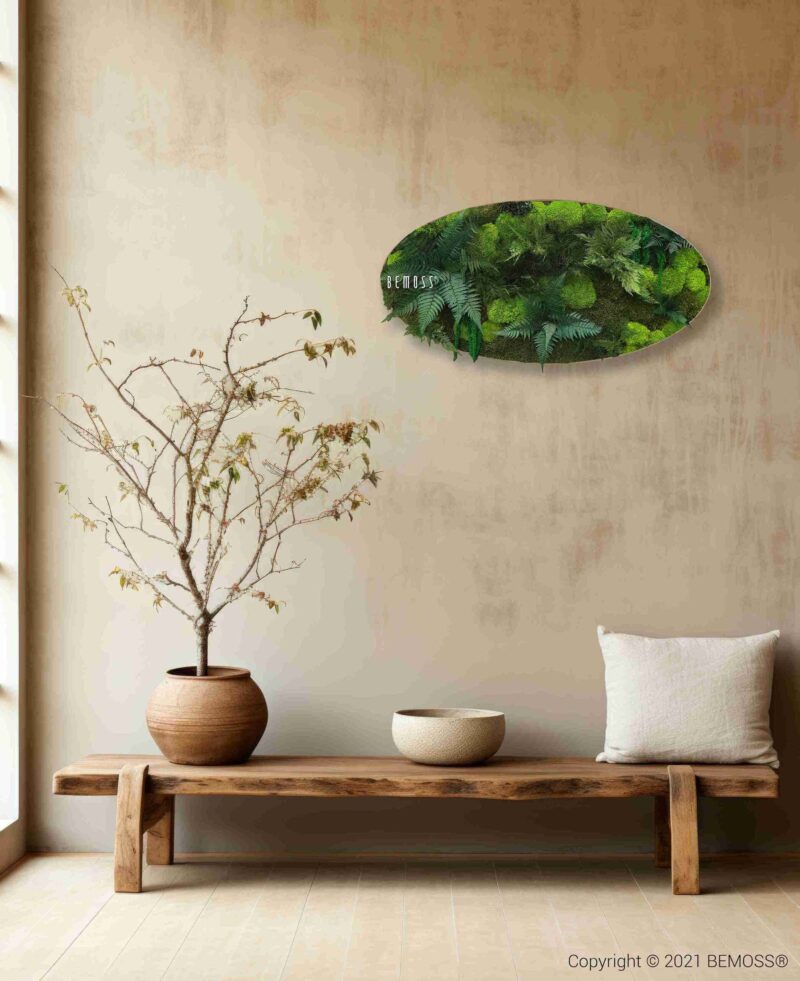 Tableau de mousse Ellipse PLANTES Vigo | BEMOSS